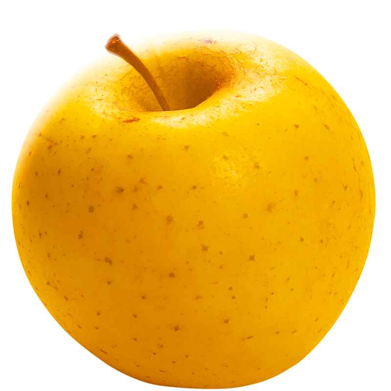 Pommi'z Apple - Cofruid'Oc