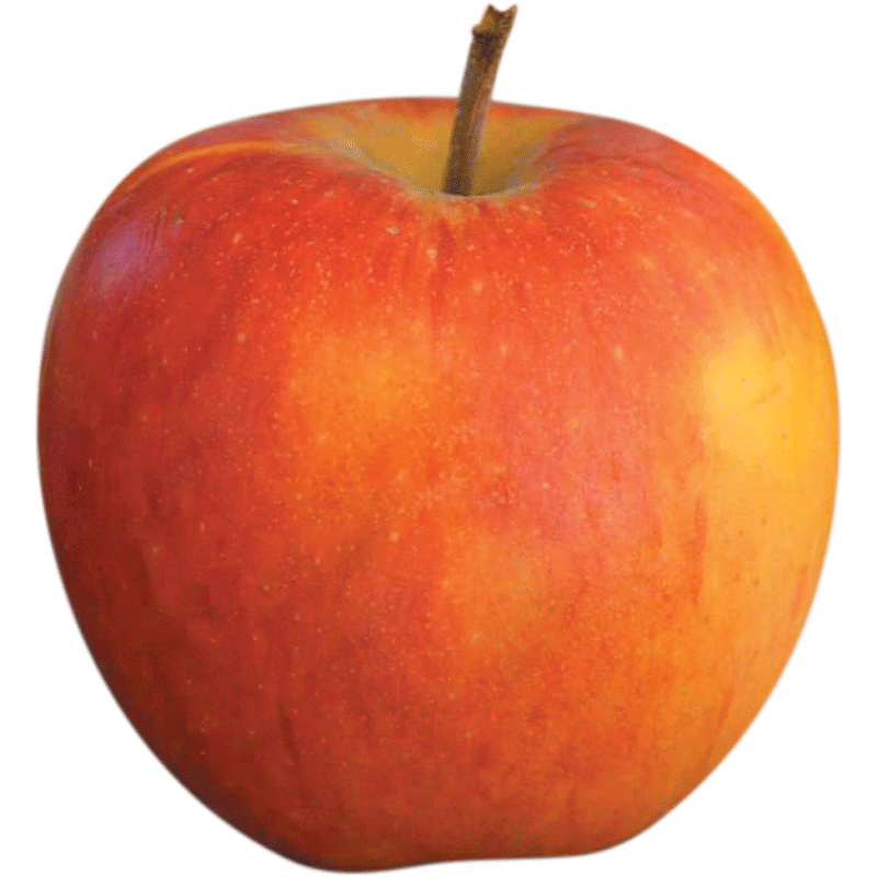 Pommi'z Apple - Cofruid'Oc